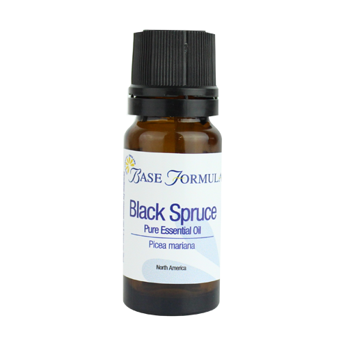 100% pure Black Spruce (Picea mariana) Essential Oil 100% pure Black Spruce (Picea mariana) Essential Oil